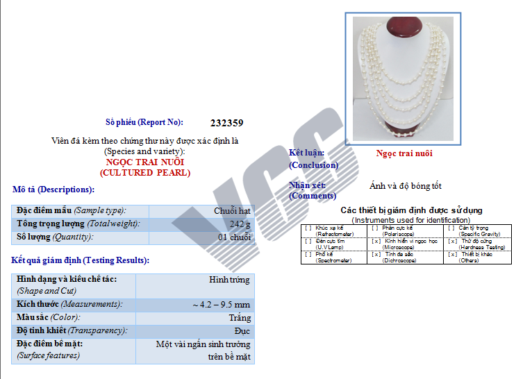 Index Of Wp Content Uploads 2023 09 Verification Paper